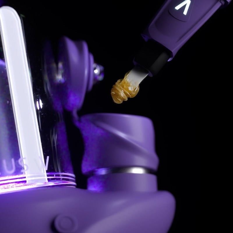 Focus V Saber - Grape - Heated Tool – Beachside